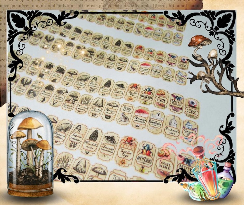 30!!! Miniature (or NOT) Witchy Apothecary Labels - Mushroom Labels ...