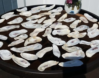 Raw Edge Capiz Shell Rounds Window Pane Flat Oyster Shells