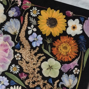 Pressed Flower Art Print A3 Size, Botanical Artwork Print, Pressed ...