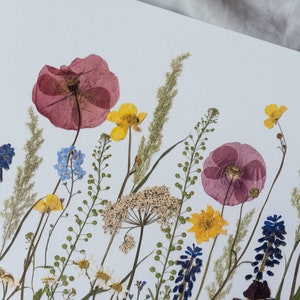 Pressed Flower Art Print A3 Size, Botanical Artwork Print, Pressed ...