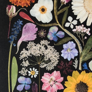 Pressed Flower Art Print A3 Size, Botanical Artwork Print, Pressed ...