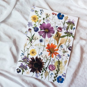 Pressed Flower Art Print A3 Size, Botanical Artwork Print, Colourful ...