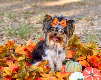 Dog Hair Bows - Etsy