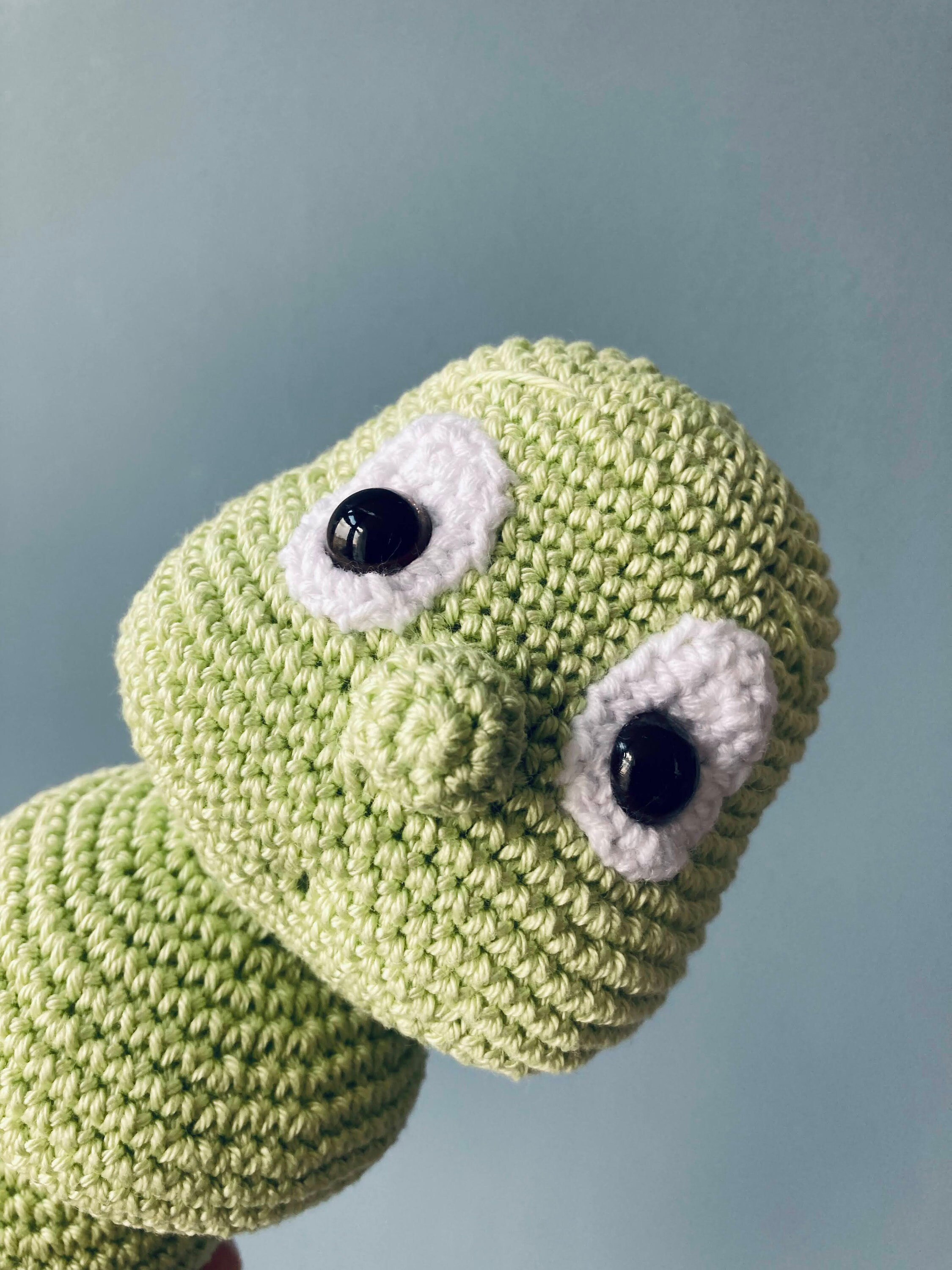 OLIVER the Bookworm Crochet PATTERN amigurumi Green Earth - Etsy Canada