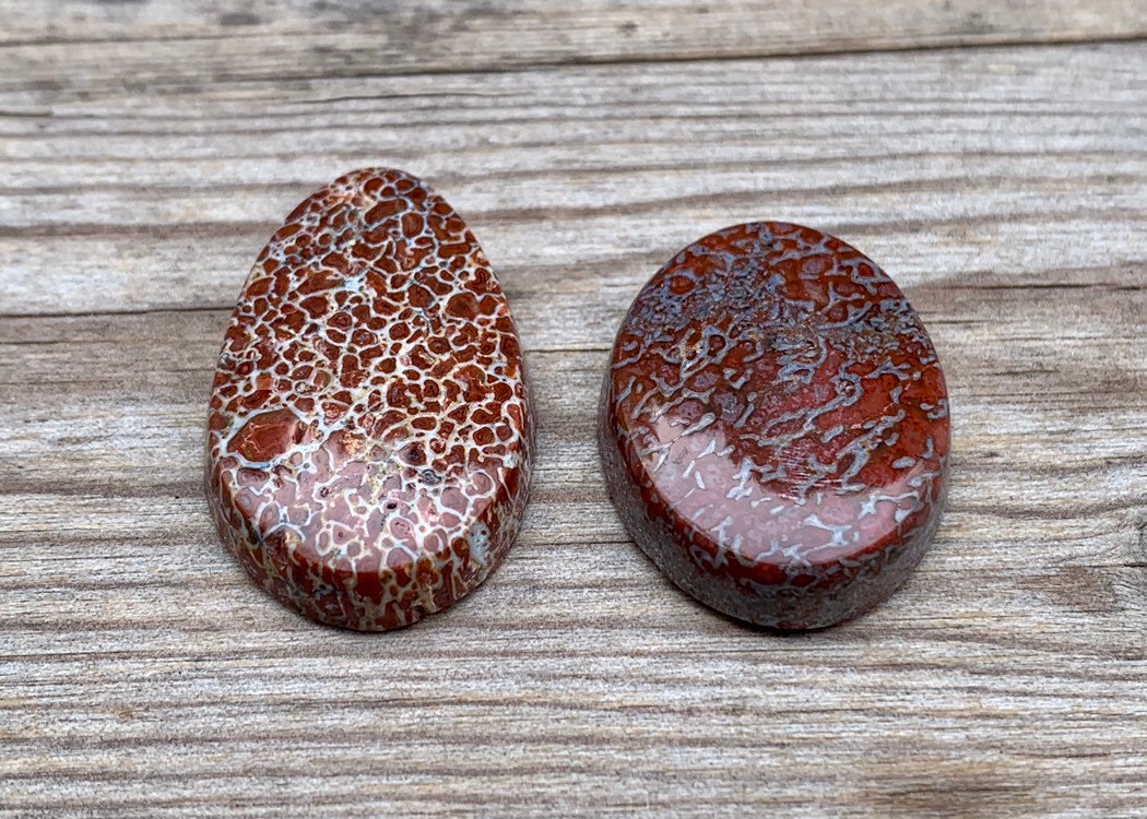 Dinosaur Gembone Cabochon Natural Unbacked Polished Agatized Fossil ...