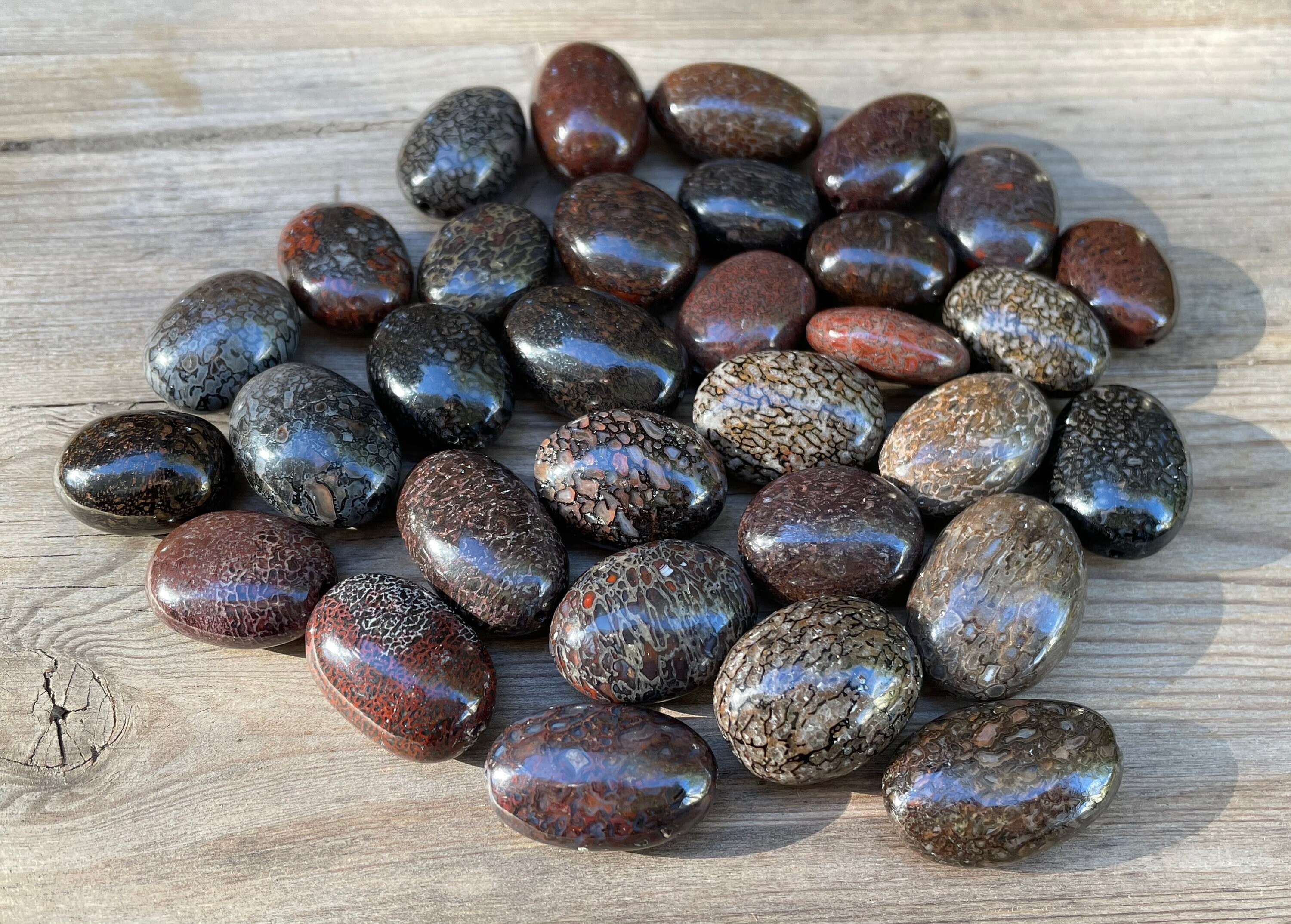 Dinosaur Gembone Beads Natural Smooth Polished Agatized - Etsy