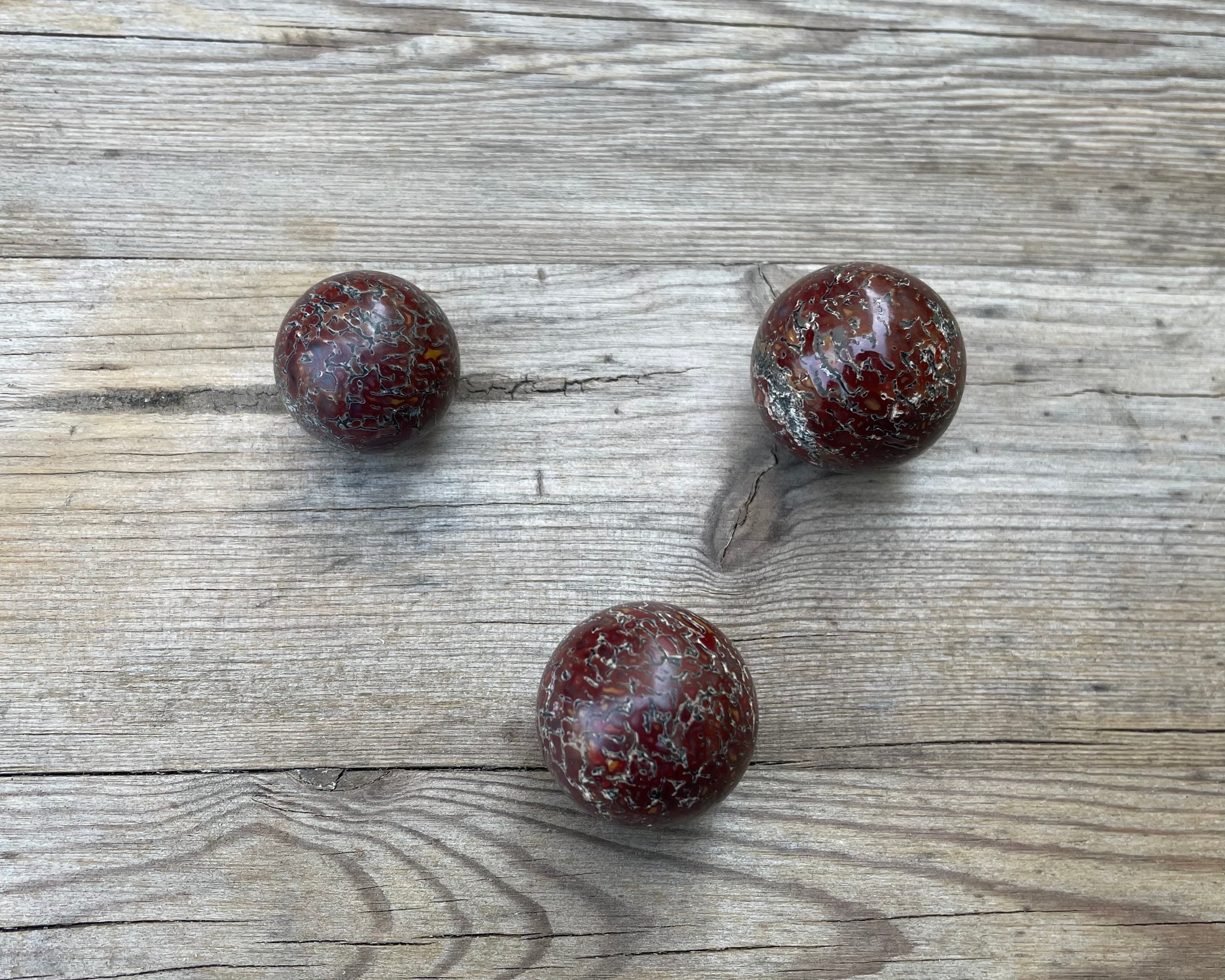 Pocket Dinosaur Gembone Spheres Natural Fossil Dinosaur Gem Bone Round ...