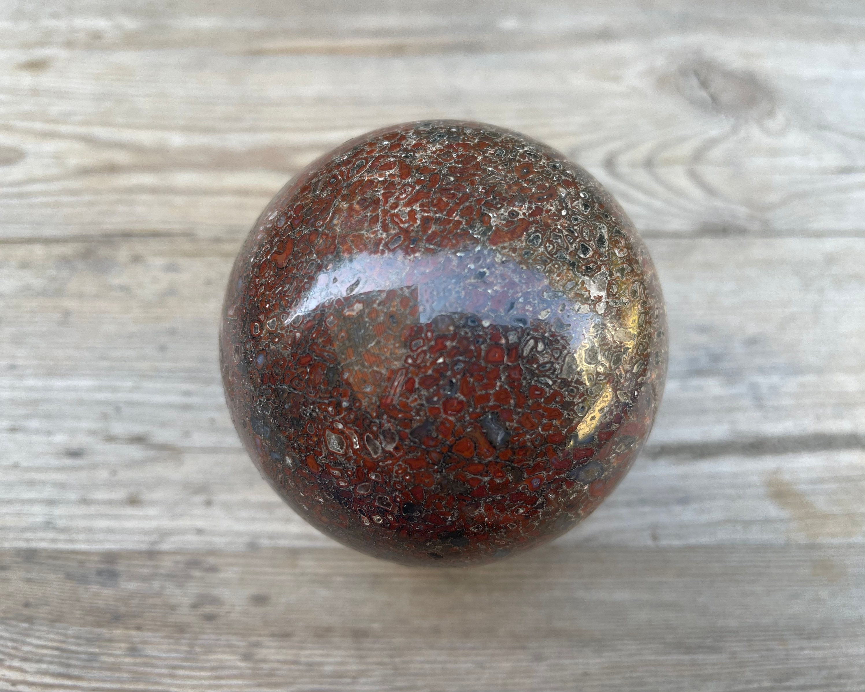 Dinosaur Gembone Sphere Natural Fossil Dinosaur Gem Bone Round Specimen ...