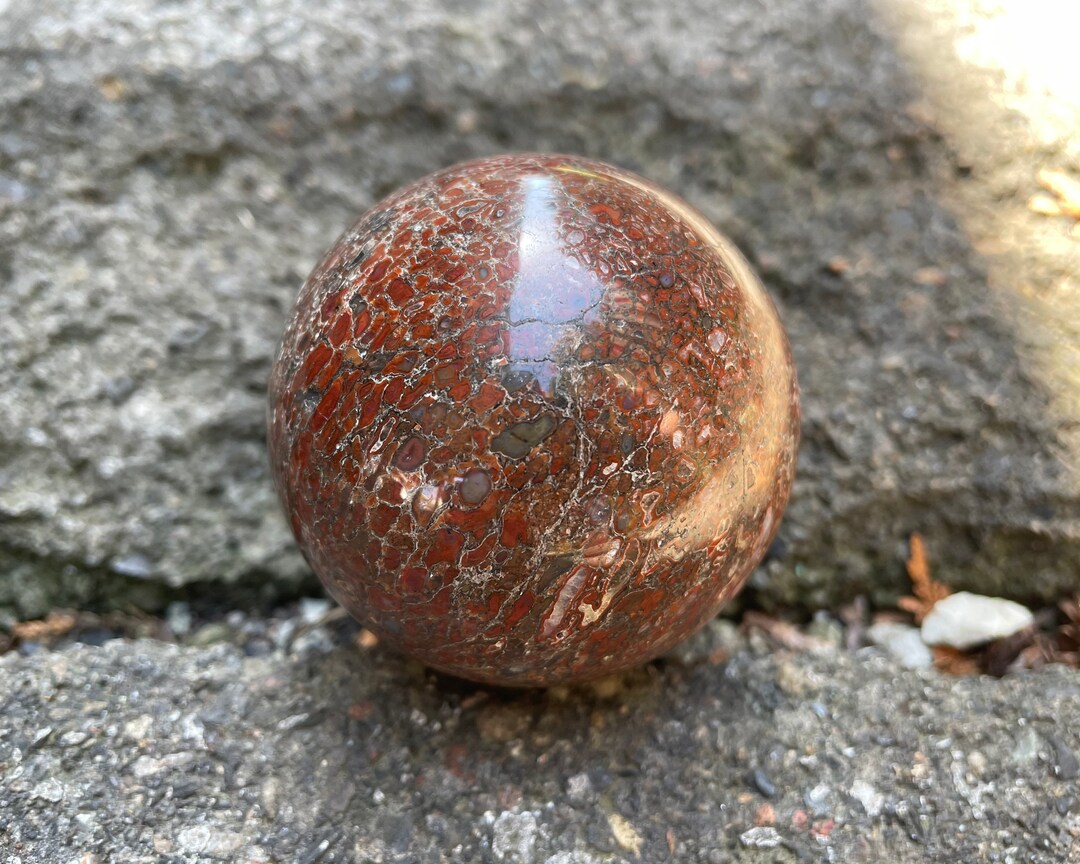 Dinosaur Gembone Sphere Natural Fossil Dinosaur Gem Bone Round Specimen ...