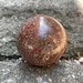Dinosaur Gembone Sphere Natural Fossil Dinosaur Gem Bone Round Specimen ...