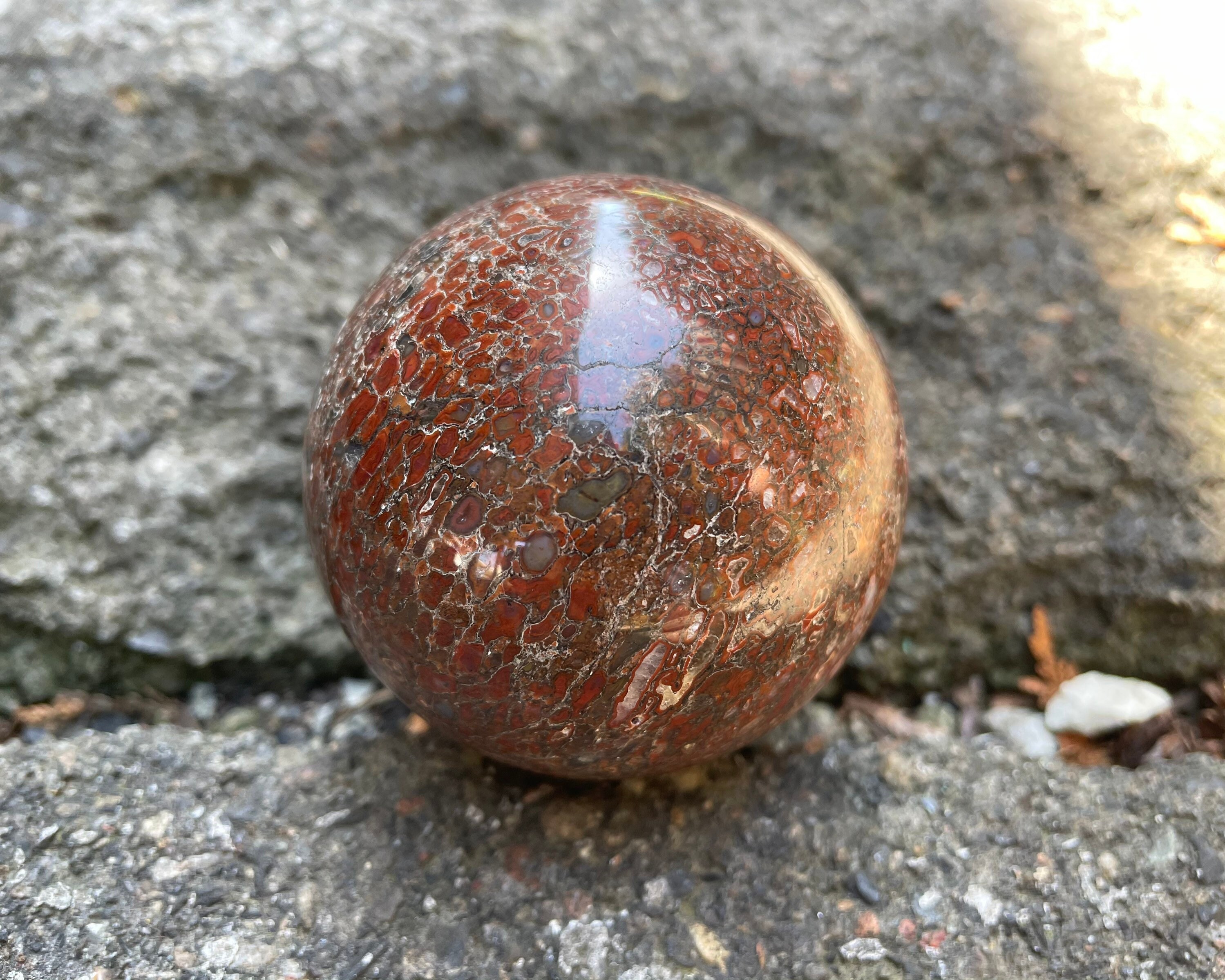 Dinosaur Gembone Sphere Natural Fossil Dinosaur Gem Bone Round Specimen ...