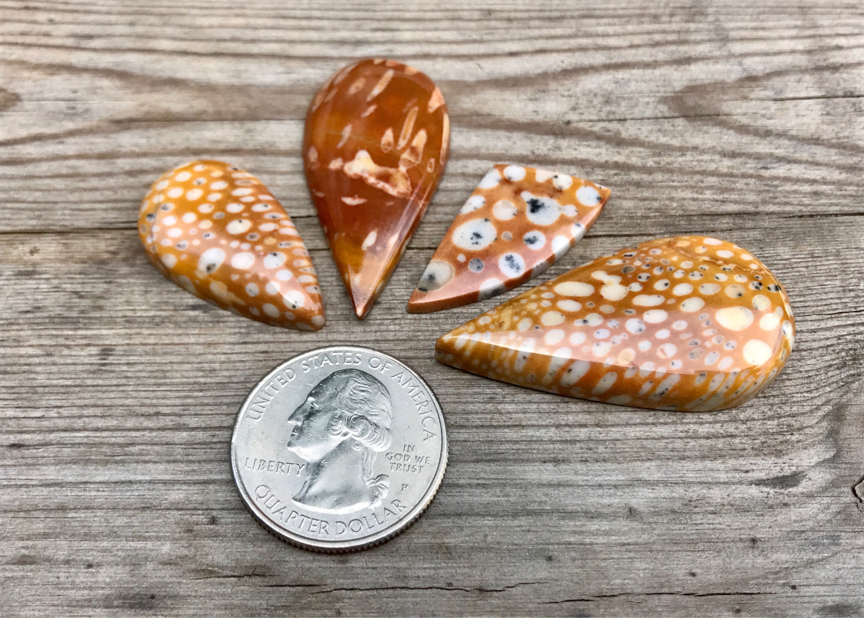 Fawn Stone Jasper Cabochon Natural Deer Stone Teardrop Cab Unique Fawn ...