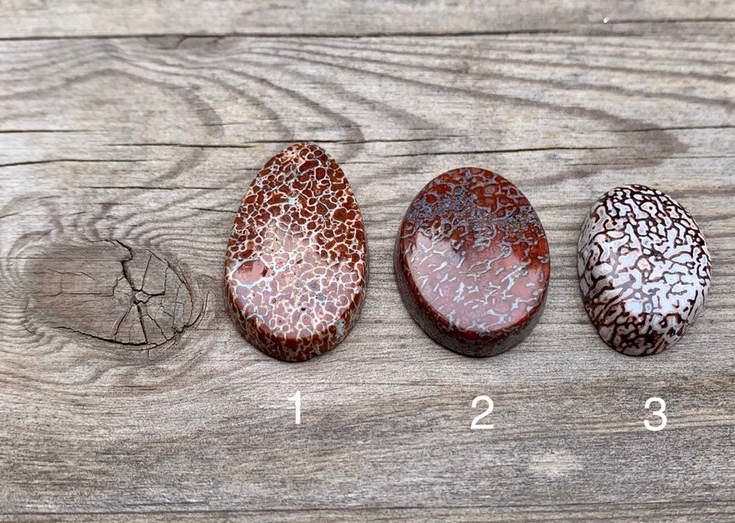 Dinosaur Gembone Cabochon Natural Unbacked Polished Agatized Fossil ...