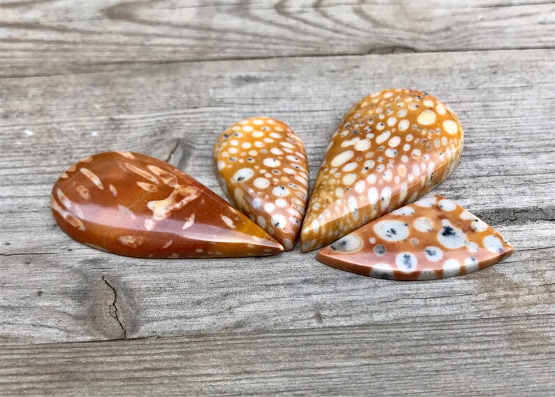 Fawn Stone Jasper Cabochon Natural Deer Stone Teardrop Cab Unique Fawn ...