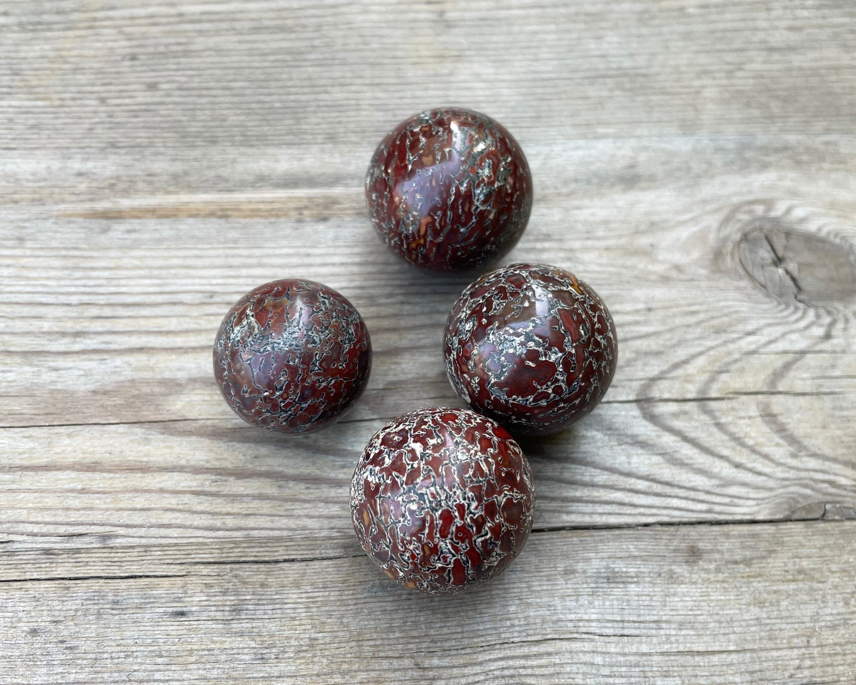 Pocket Dinosaur Gembone Spheres Natural Fossil Dinosaur Gem Bone Round ...