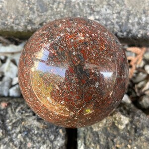 Dinosaur Gembone Sphere Natural Fossil Dinosaur Gem Bone Round Specimen ...