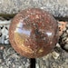 Dinosaur Gembone Sphere Natural Fossil Dinosaur Gem Bone Round Specimen ...