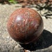 Dinosaur Gembone Sphere Natural Fossil Dinosaur Gem Bone Round Specimen ...