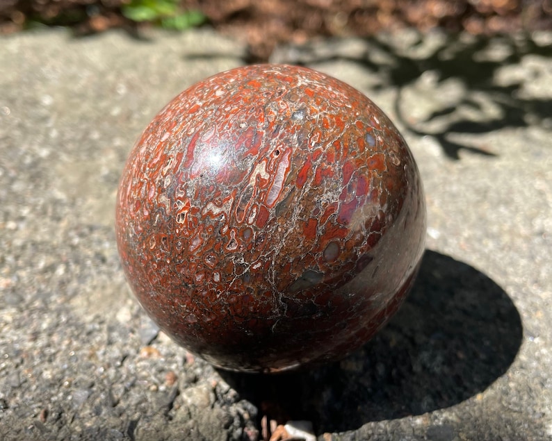 Dinosaur Gembone Sphere Natural Fossil Dinosaur Gem Bone Round Specimen ...