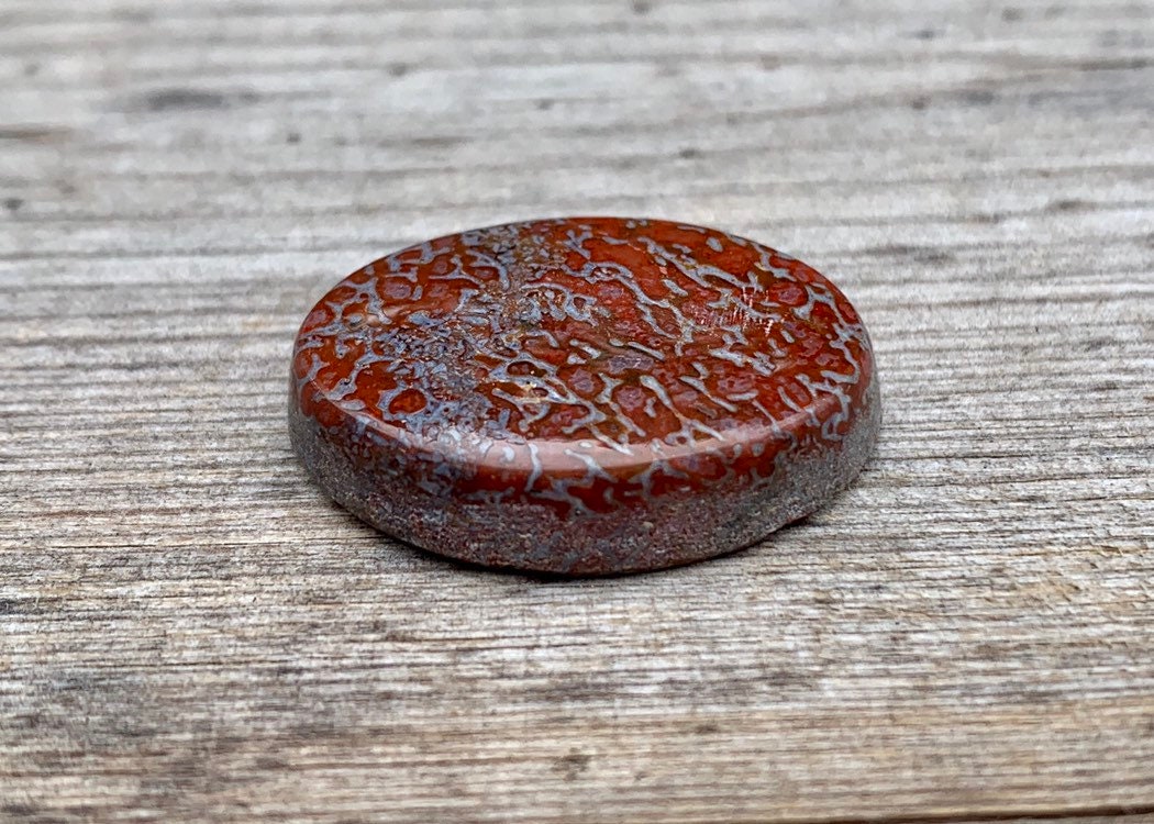Dinosaur Gembone Cabochon Natural Unbacked Polished Agatized Fossil ...