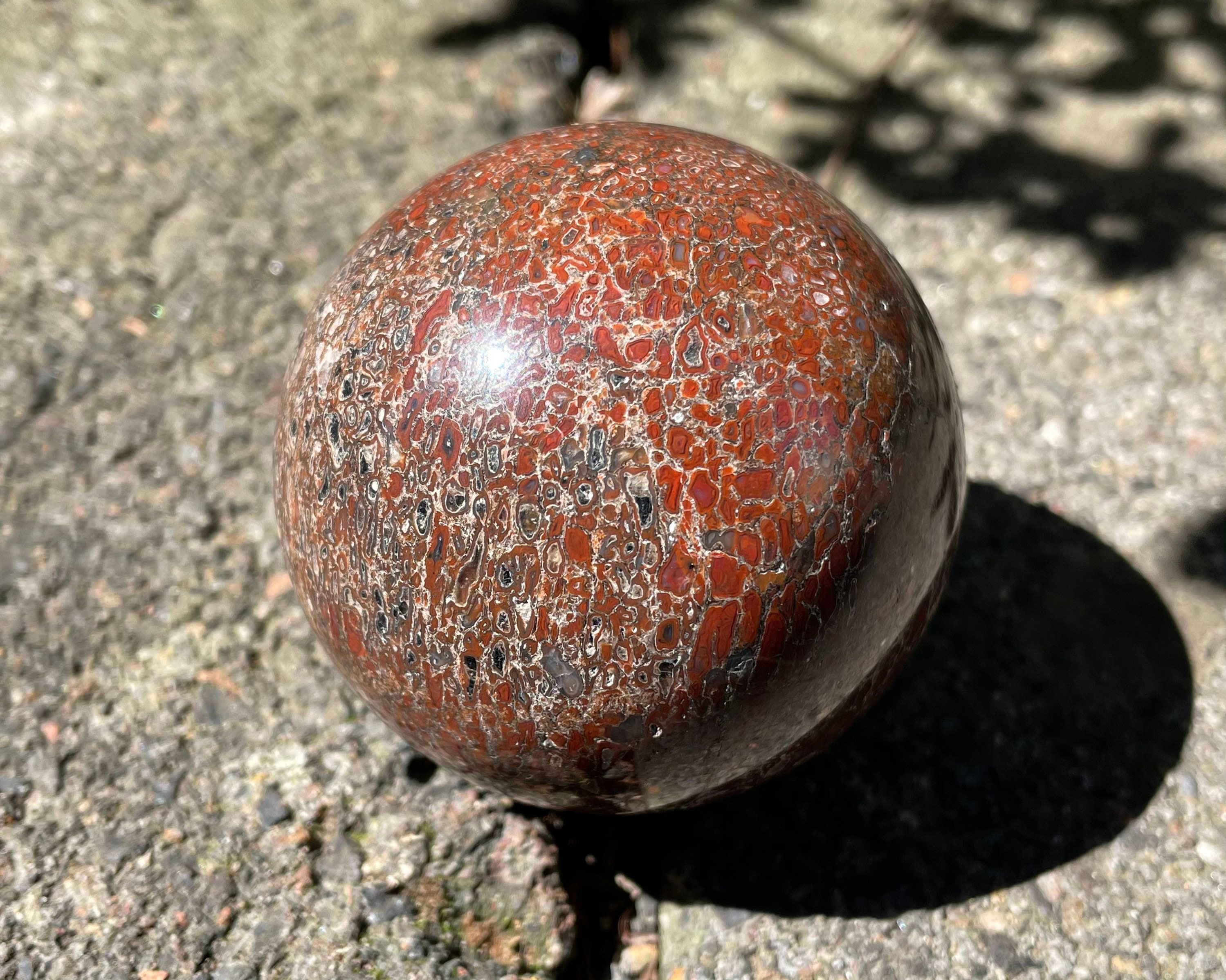 Dinosaur Gembone Sphere Natural Fossil Dinosaur Gem Bone Round Specimen ...