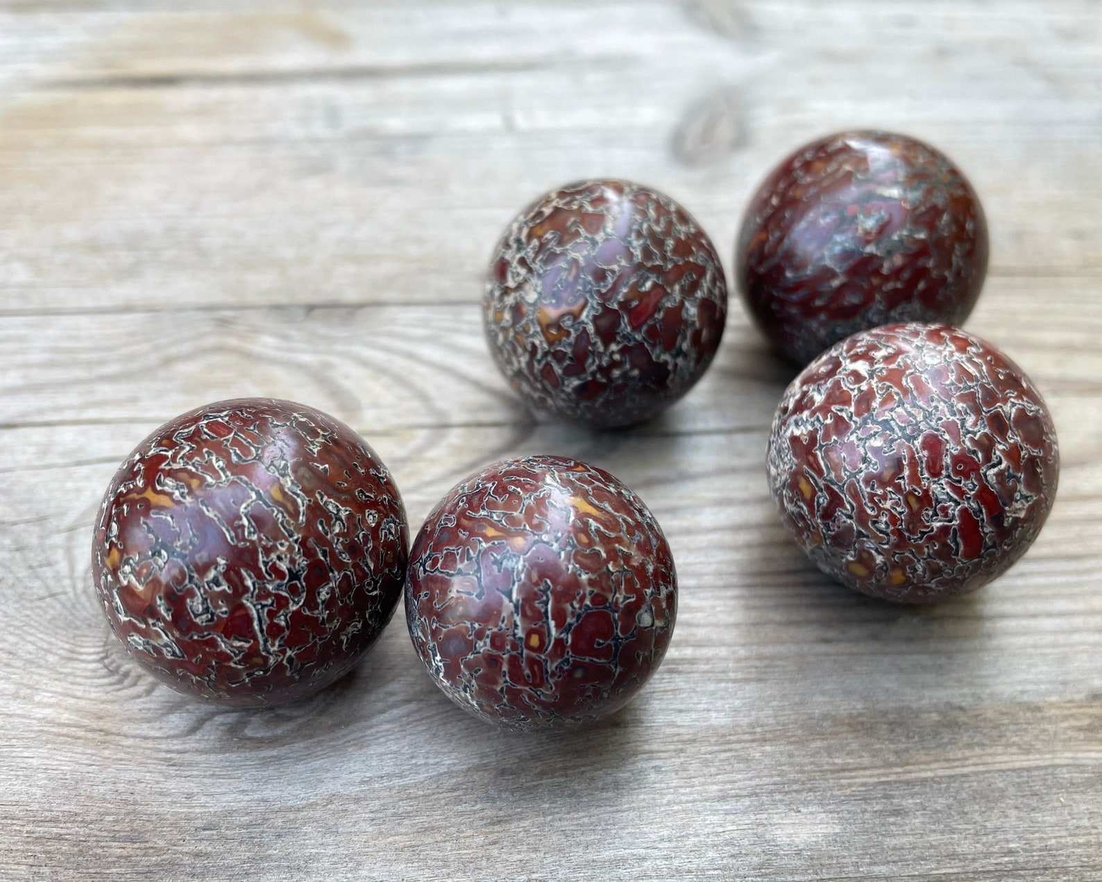 Pocket Dinosaur Gembone Spheres Natural Fossil Dinosaur Gem Bone Round ...