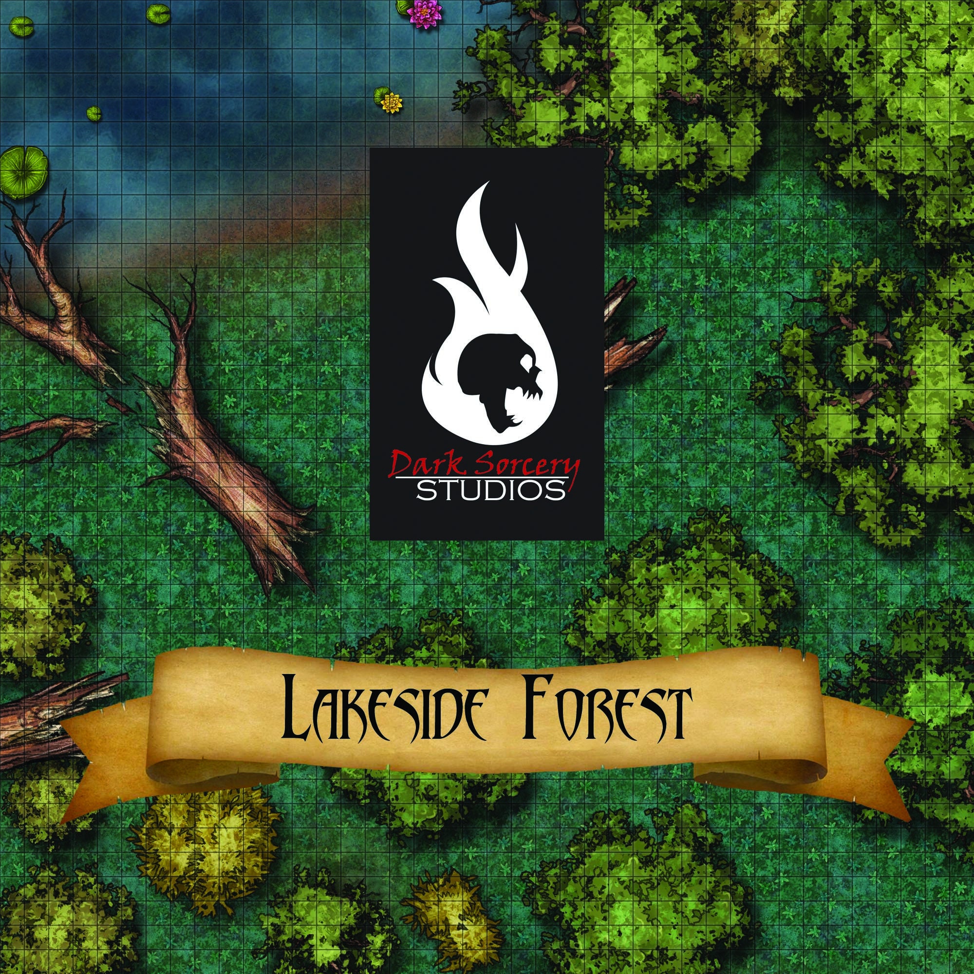 Battle Map for Virtual Tabletop Rpgs Like Dungeons & Dragons and ...