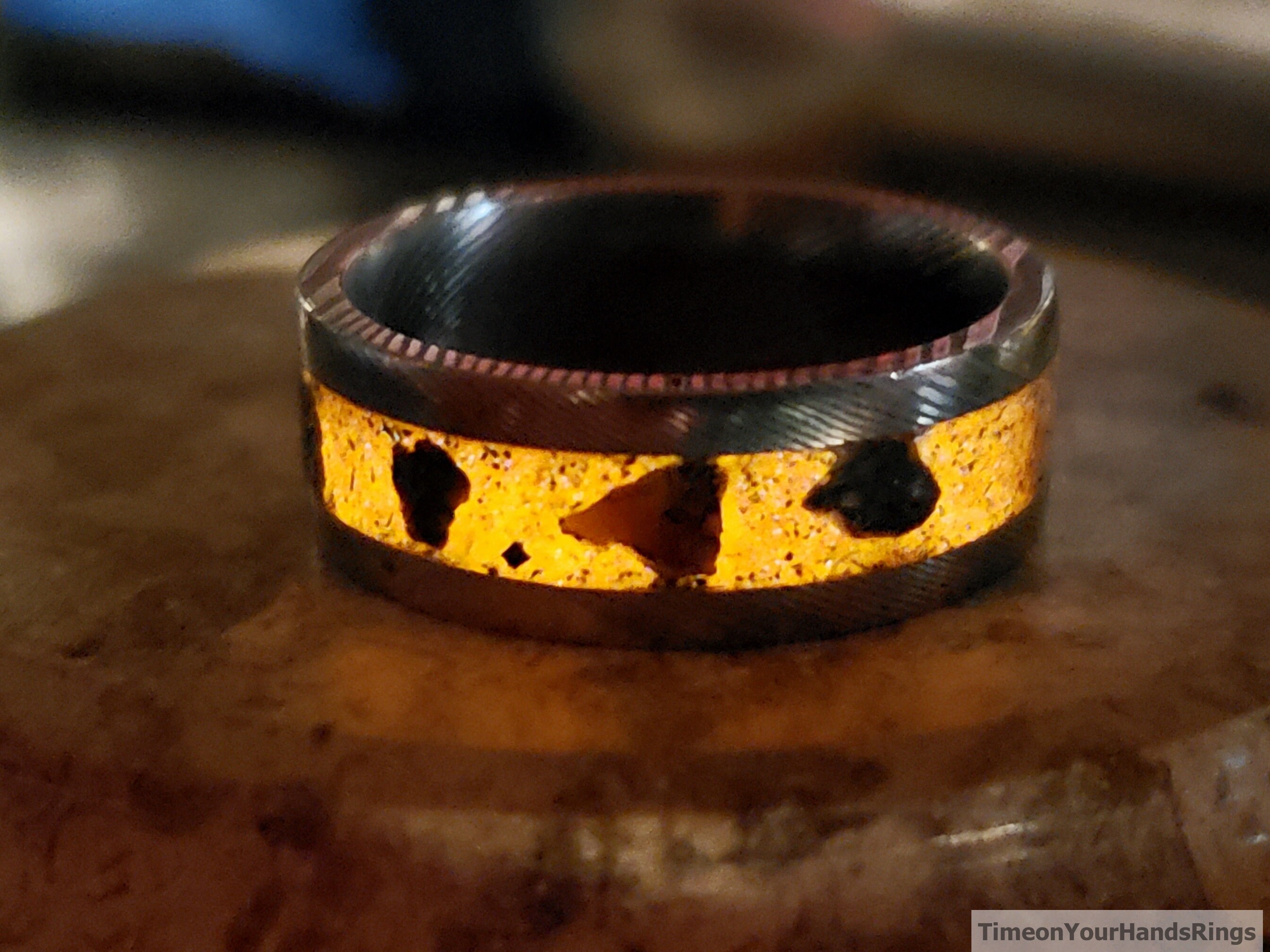 Dinosaur Bone and Coprolite Ring - Etsy