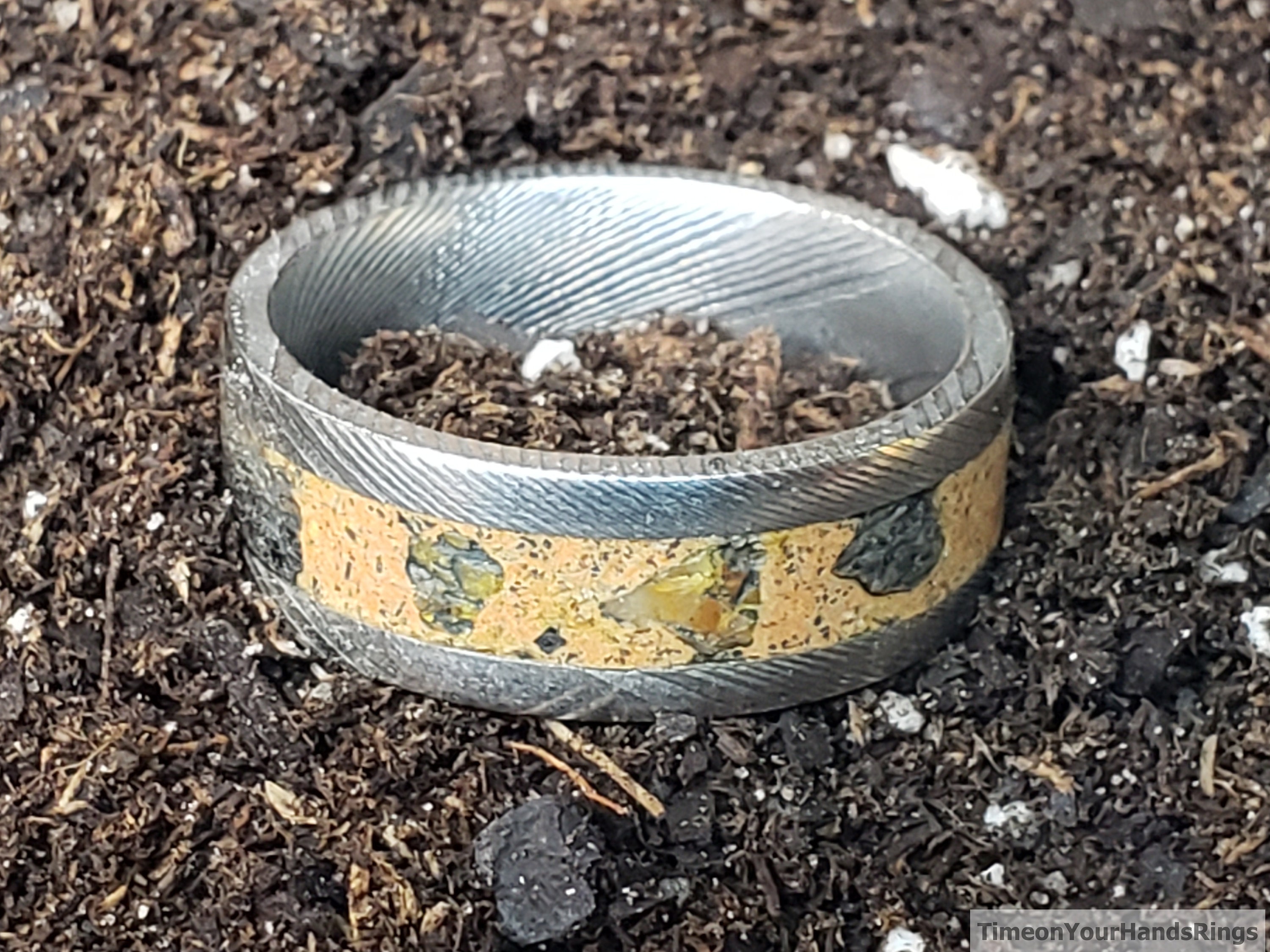 Dinosaur Bone and Coprolite Ring - Etsy