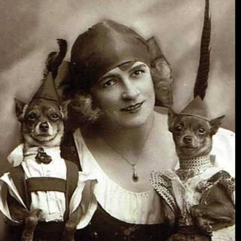 Victorian Circus Costume - Etsy