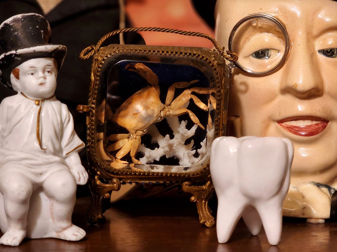 Vintage Tooth, Toothpick Holder, Dental, Teeth, Vintage Dental ...