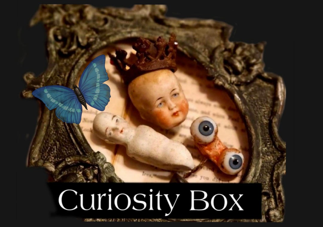 Curiosity Box Curated by Me - Etsy
