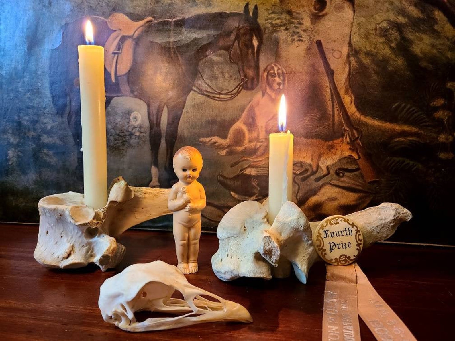 Cow/ Bull Vertebrae Animal Bones Taxidermy - Etsy