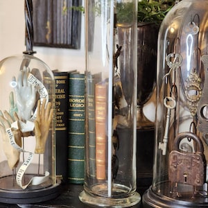 Antique Beetle Life Cycle Specimen Jar, Clay Adams, Entomology, Spread ...