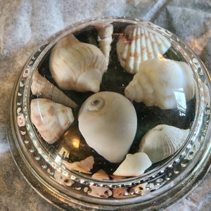 Antique Magnifying Glass, Paper Weight With Shells, Vintage Magnifier ...