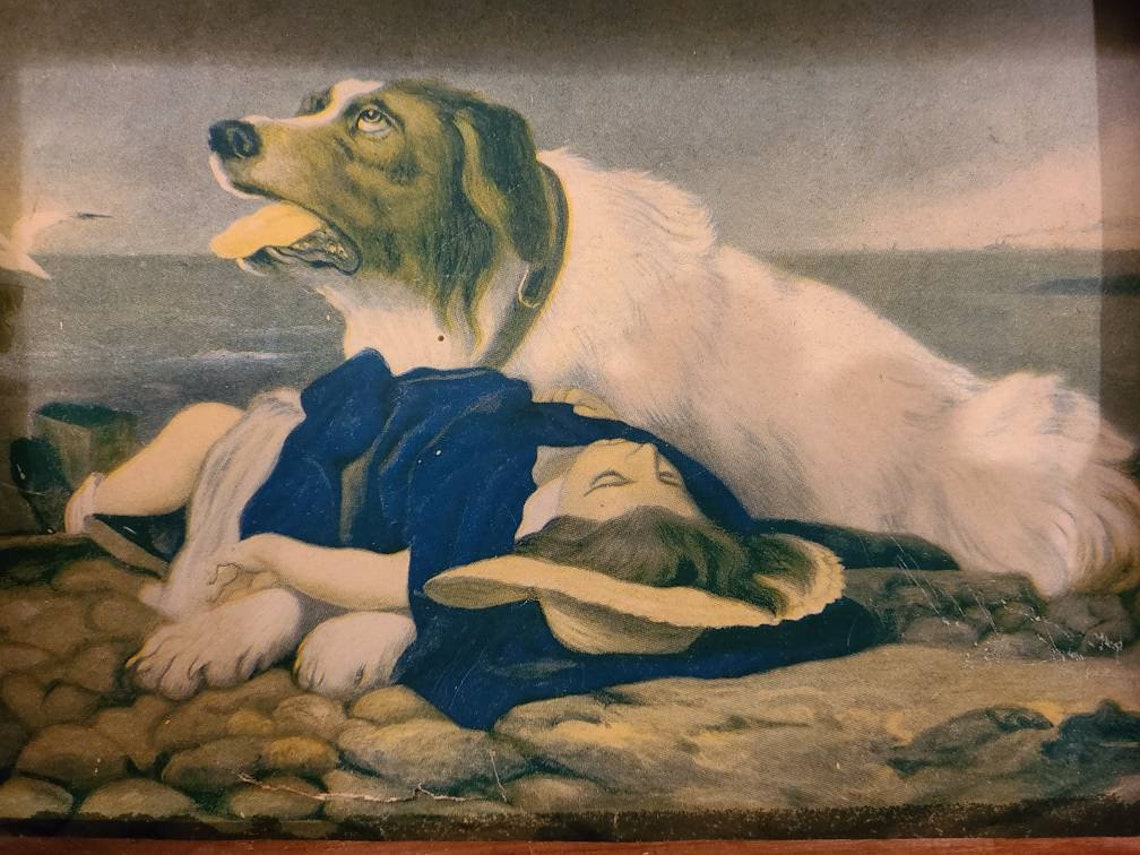 Vintage Framed Dog Rescue Picture Drowning Victim Oddities - Etsy