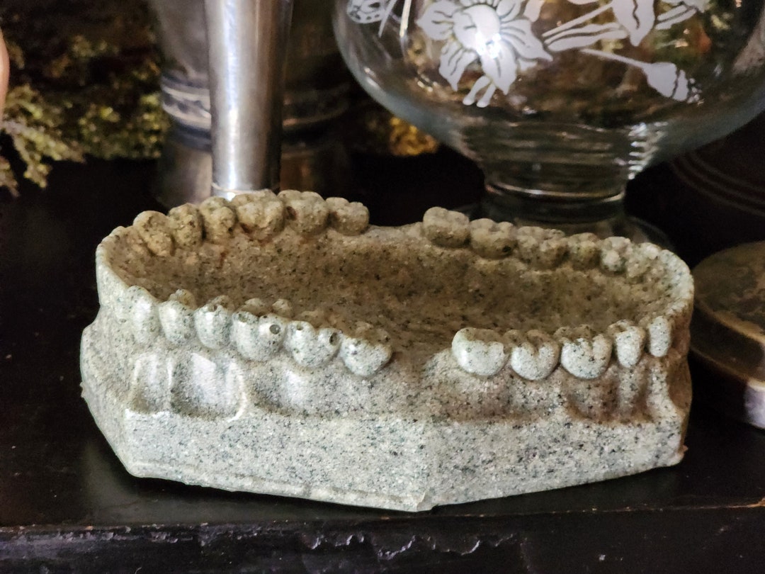 Vintage Teeth Dish, Resin, Dental Mold, Teeth, Oddities, Curiosities ...