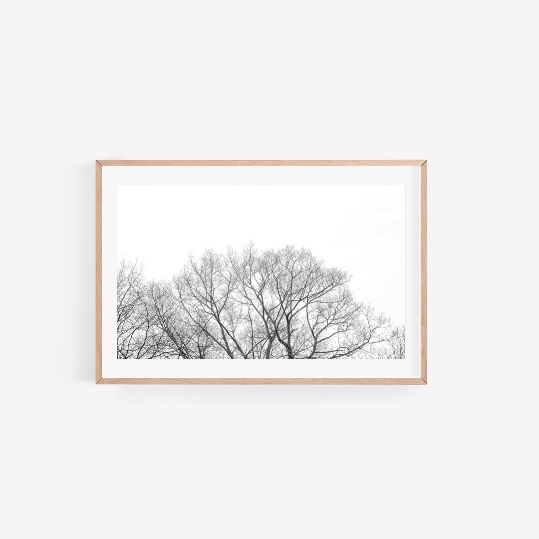 Black & White Tree Wall Art Digital File, Tree Print, Tree Wall Art ...