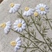 Daisy Embroidery Pattern DIY Botanical Art, Vintage Style White ...