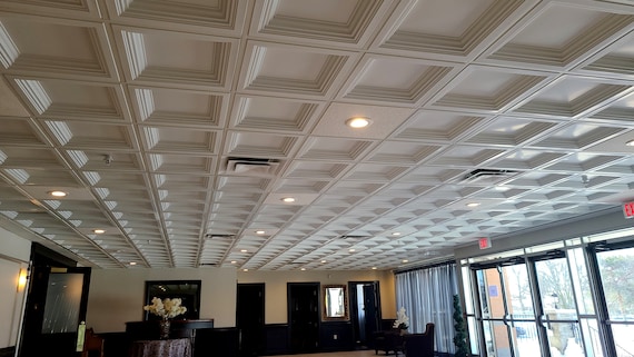 Commercial Drop Ceiling Panels