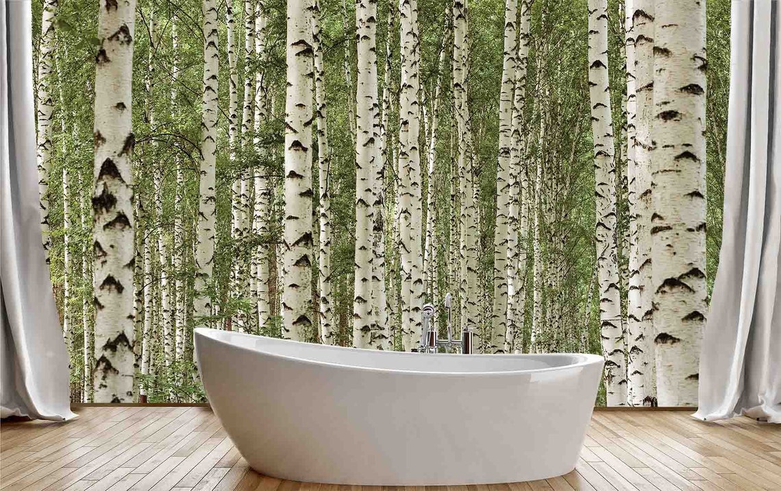 Removable Wallpaper - Birch Tree Forest - Photo Mural 3D Effect Wall ...