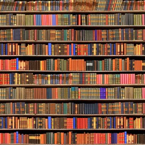 Library With Old Books Mural Wall Art Print Removable Wall Décor Accent ...