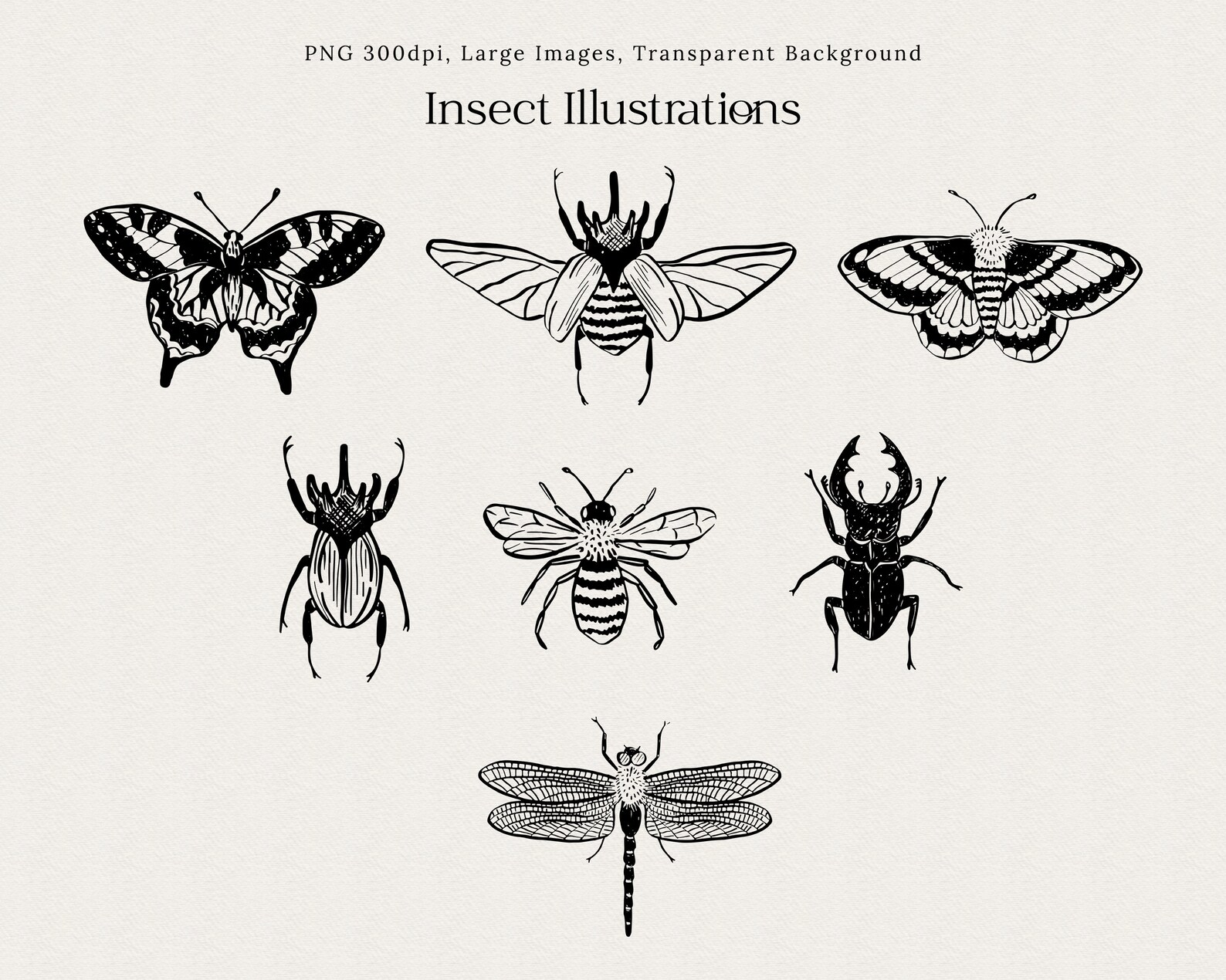 Insect Clip Art Illustrations - Black Ink Insects - Bug Clipart ...