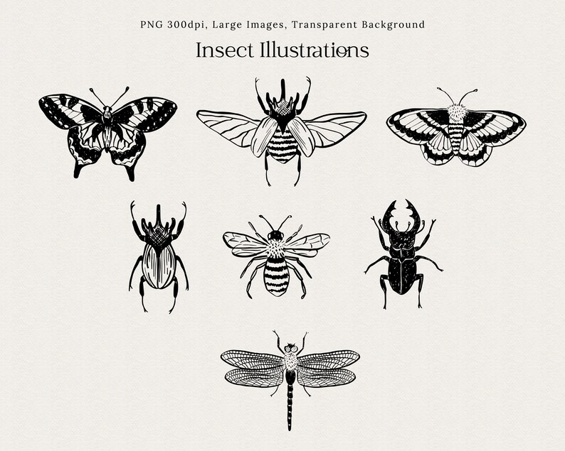 Insect Clip Art Illustrations - Black Ink Insects - Bug Clipart ...