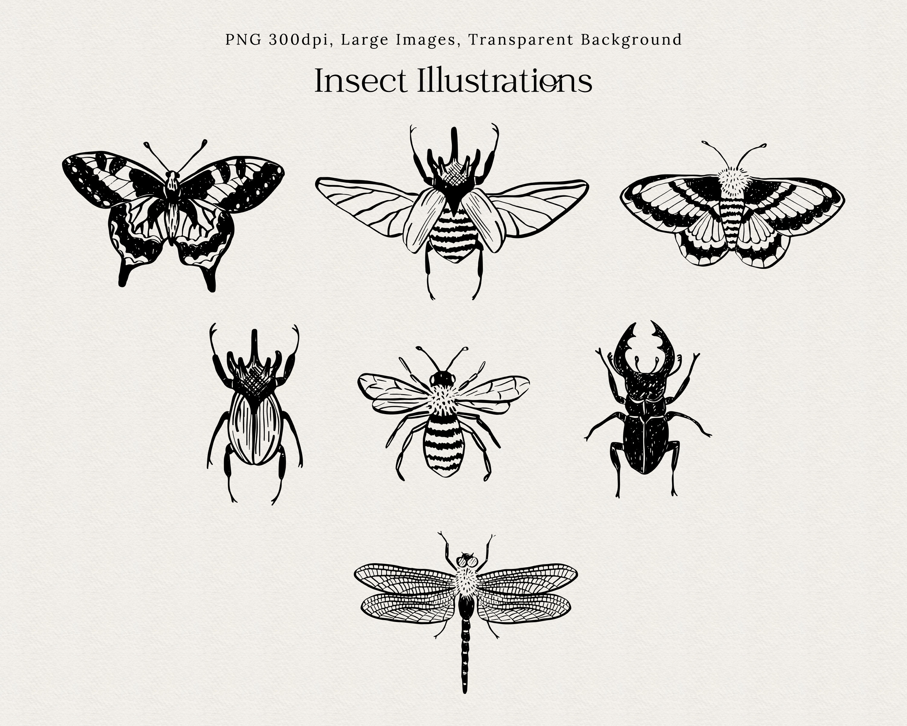 Insect Clip Art Illustrations - Black Ink Insects - Bug Clipart ...