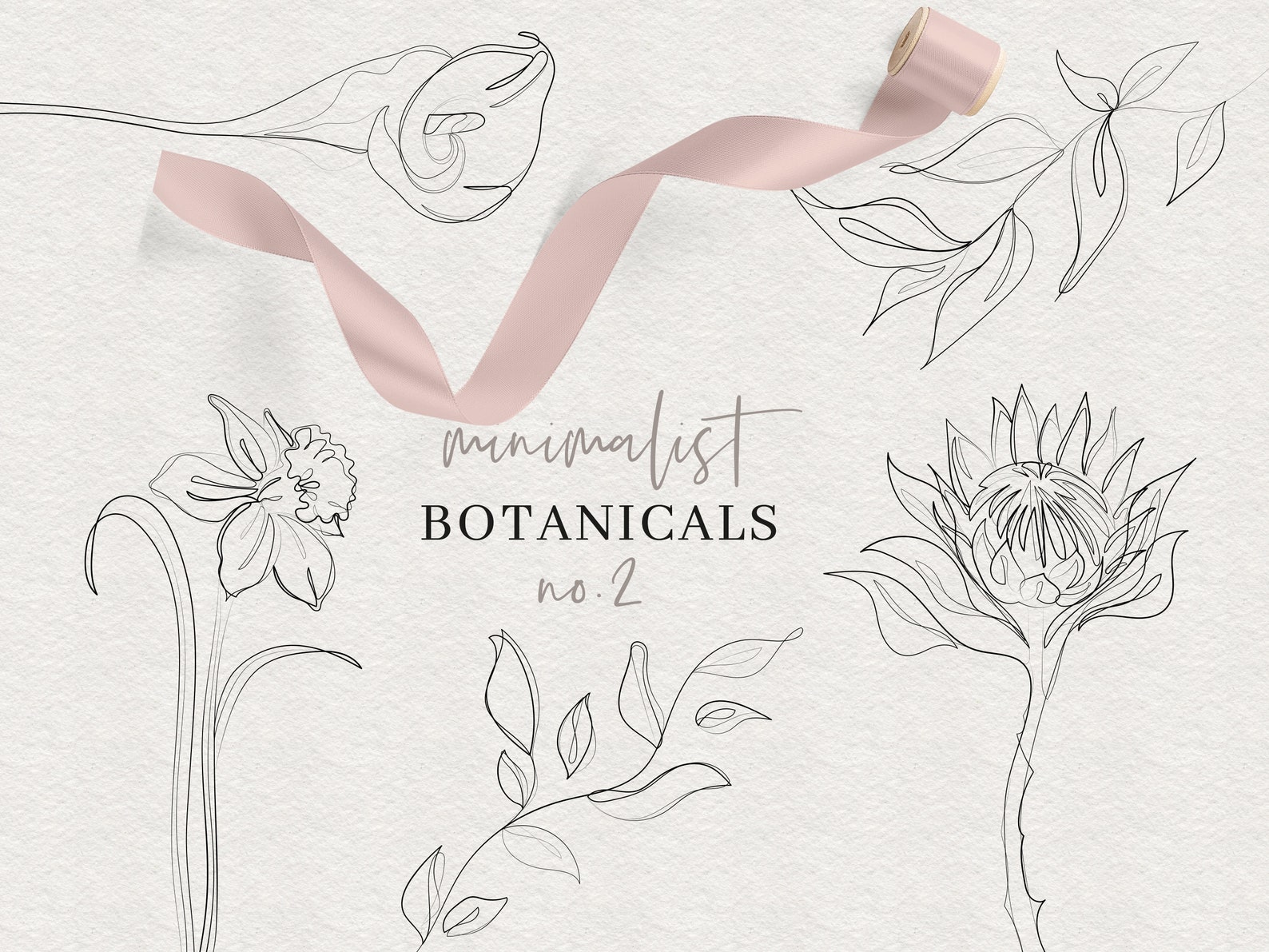 Fine Art Minimalist Botanical Line Art No.2 - Elegant Clipart Flowers ...