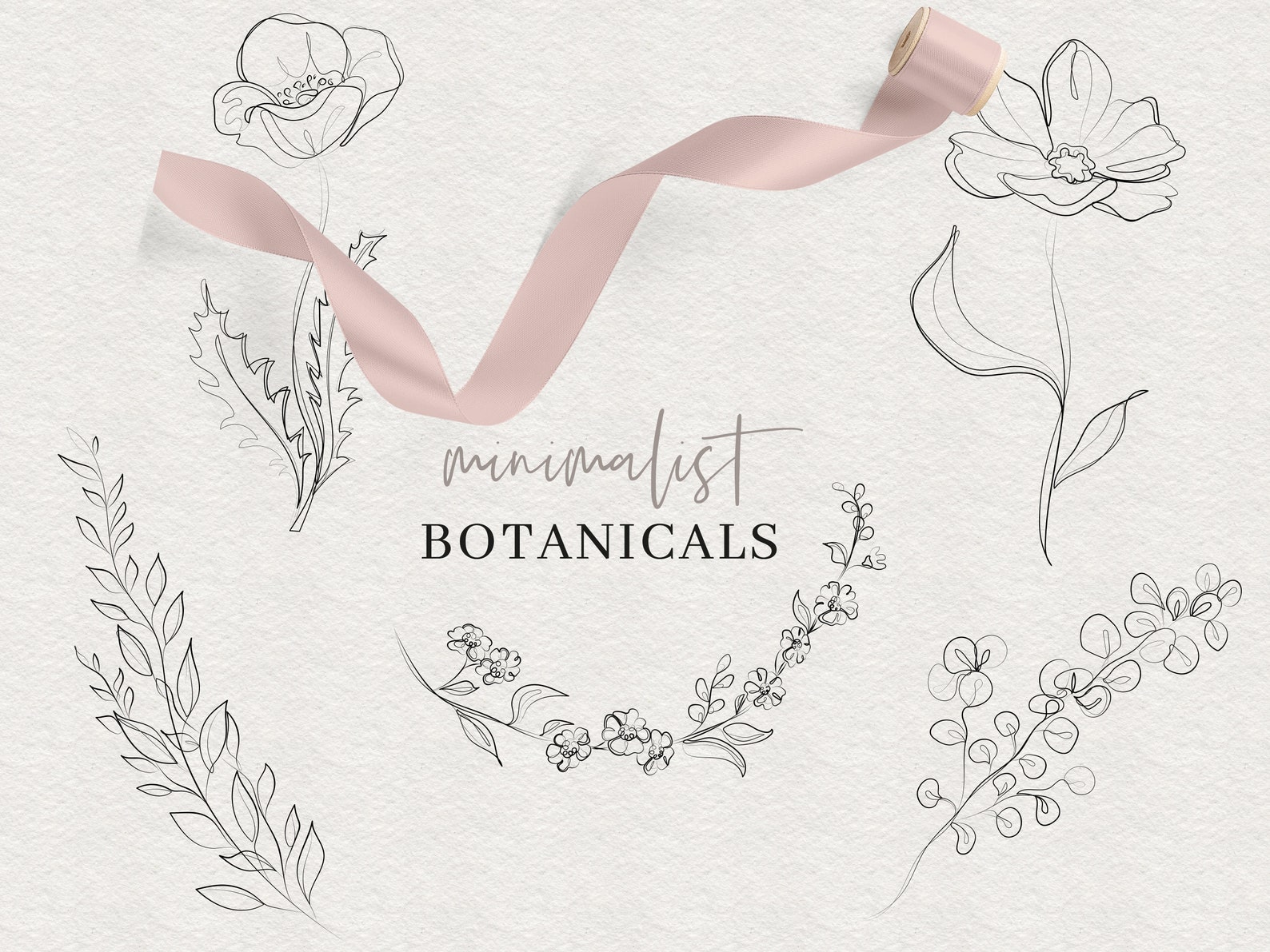 Fine Art Minimalist Botanical Line Art - Floral Elegant Clipart - Line ...