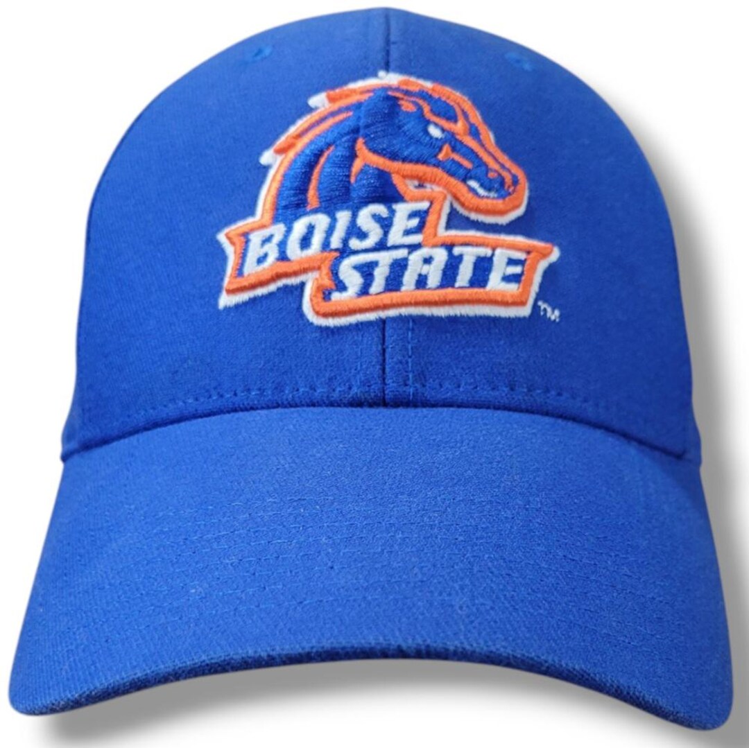 Vintage Nike Hat OSFM Vintage Boise State Hat BSU Broncos Embroidered ...
