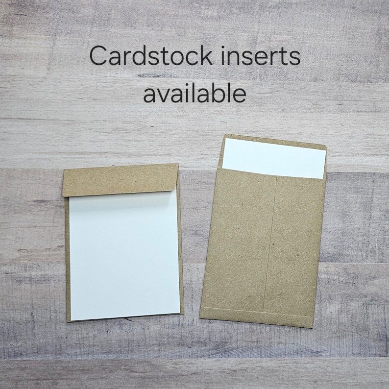 100 3x4 Kraft Coin Envelopes, ATC Card Envelope, Seed Storage Packets ...