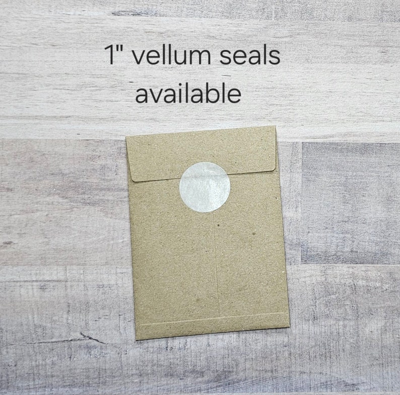 100 3x4 Kraft Coin Envelopes, ATC Card Envelope, Seed Storage Packets ...